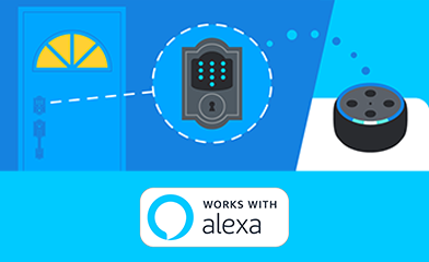 Alexa Insider