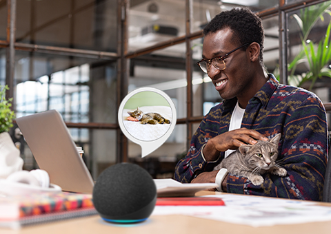 How an Alexa Skills Developer delved into the psychology of cats and ...