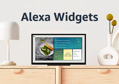 How to create, install and maintain APL Widgets