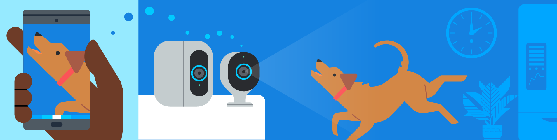 Introducing Live View and Pan, Tilt, Zoom Capabilities for Cameras in ...