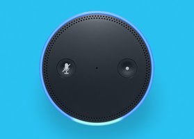 Alexa Brand Guidelines